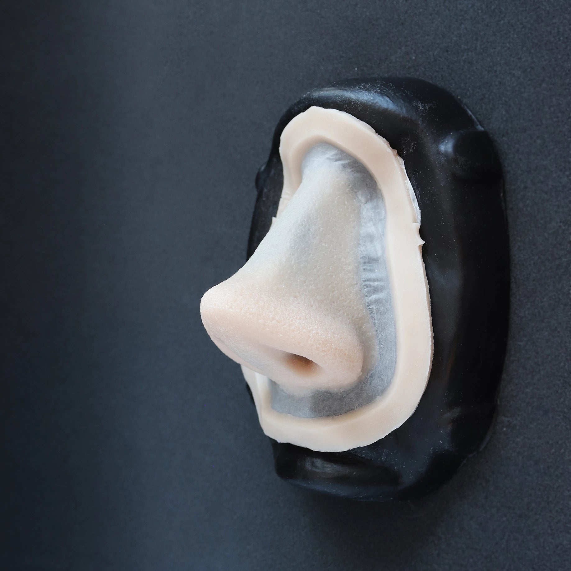 Nose Collection from Meduusat Studio