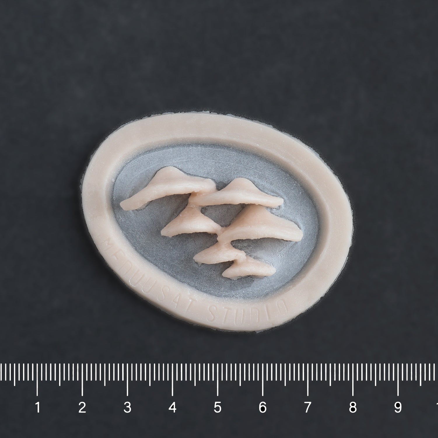 Fungi Set: Realistic Silicone Prosthetics – Meduusat Studio