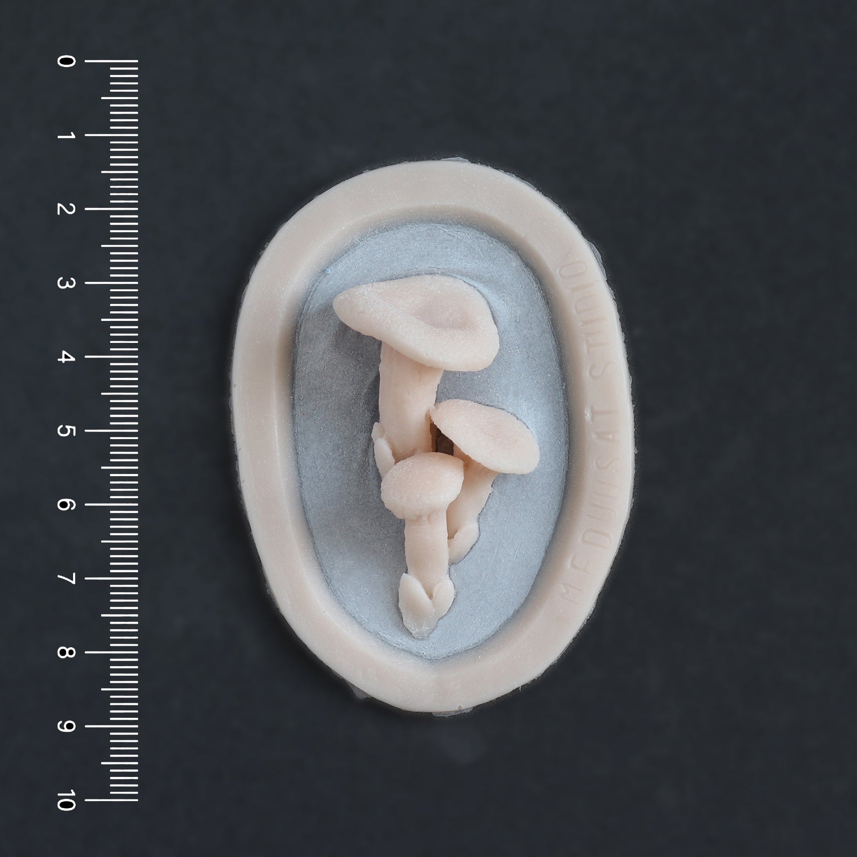 Fungi Set: Realistic Silicone Prosthetics – Meduusat Studio