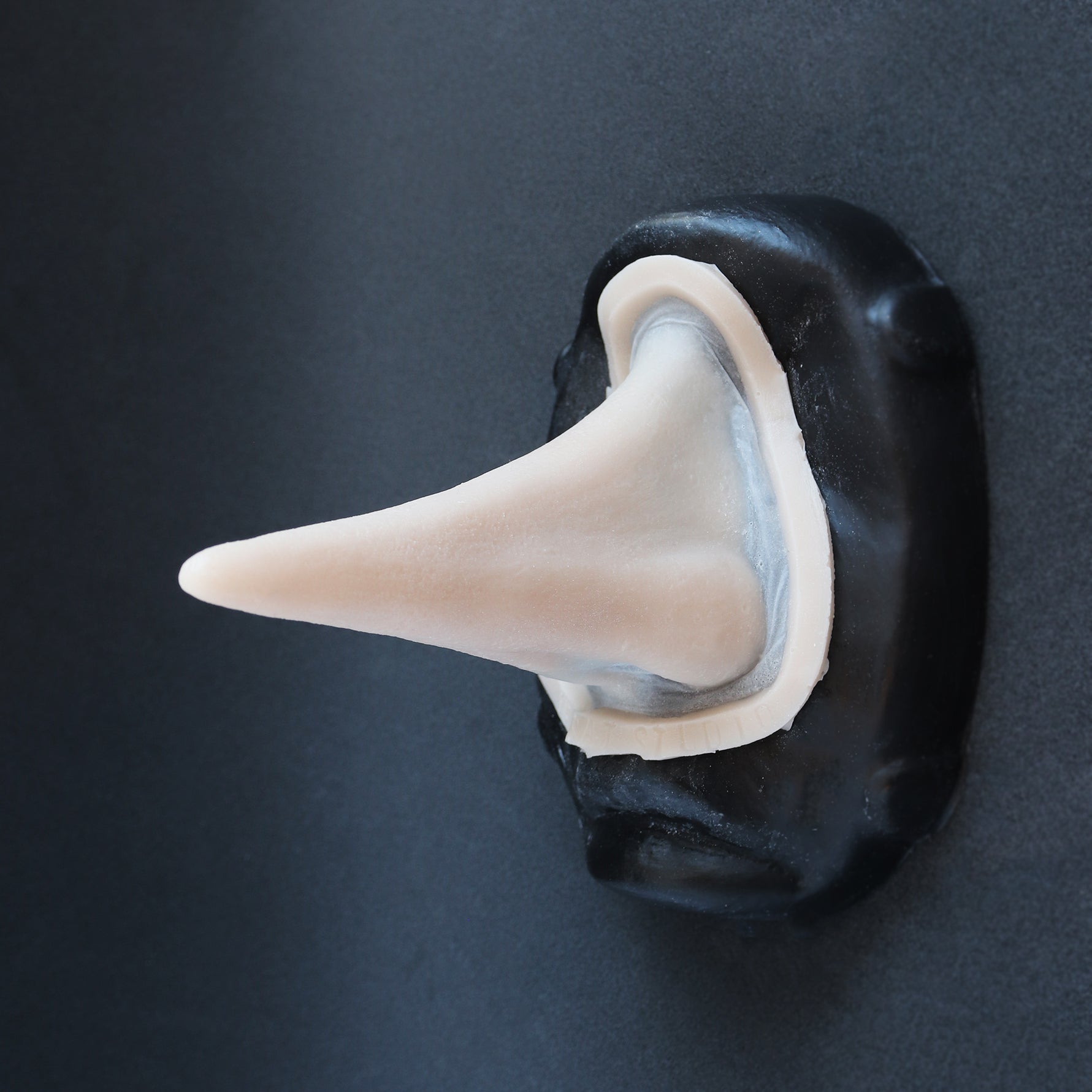Long Pointy Nose Prosthetic - Lifelike & Versatile for SFX – Meduusat ...