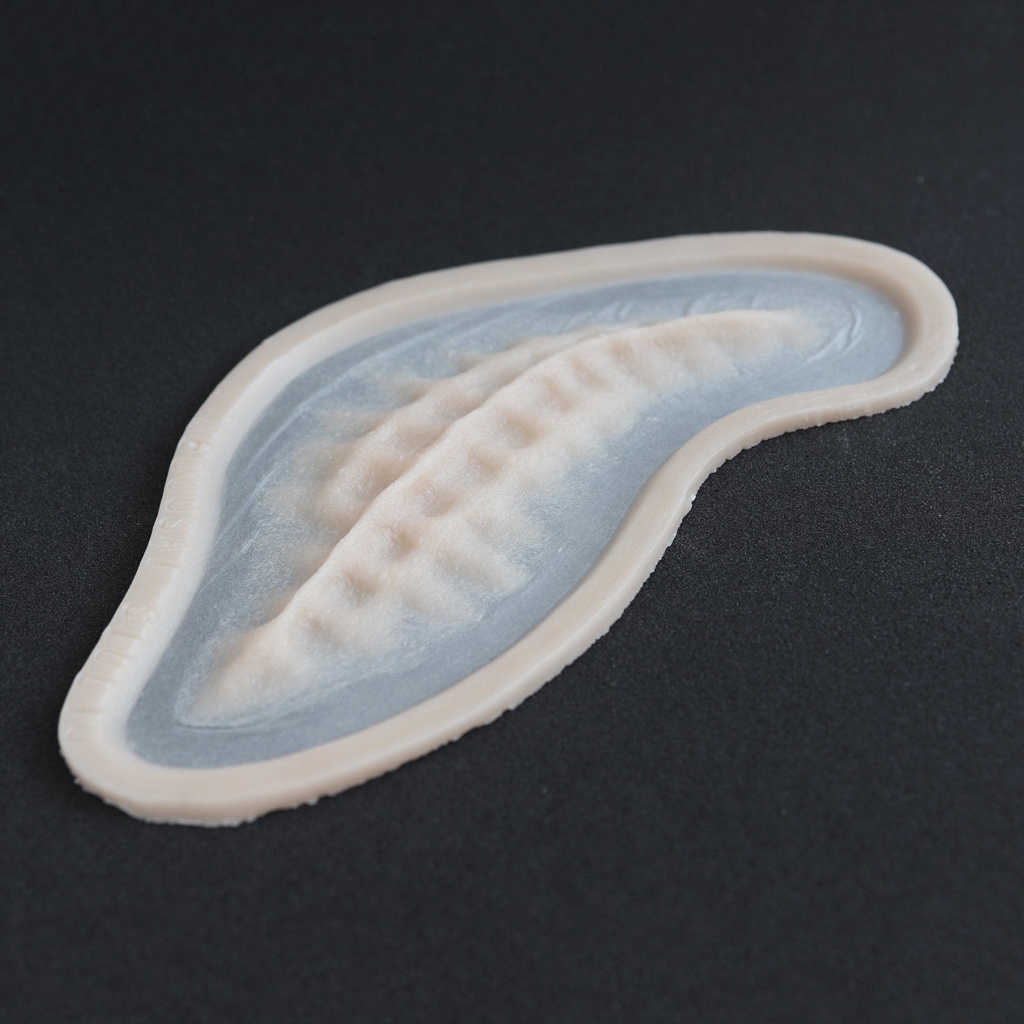 Silicone Seahorse Prosthetic - Magical, Handcrafted – Meduusat Studio